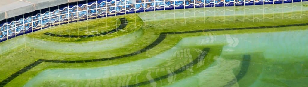 Green Pool Cleaning in Tucson - Monsoon Pools